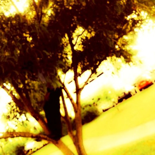 Stream Farmer And His Gun (Charlie Simpson Cover) by Mika Ransom ...