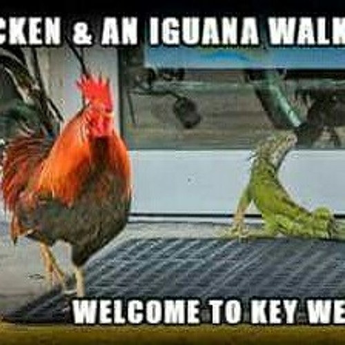 Stream Les Greene and Jared Reeves by Jared Reeves | Listen online for ...