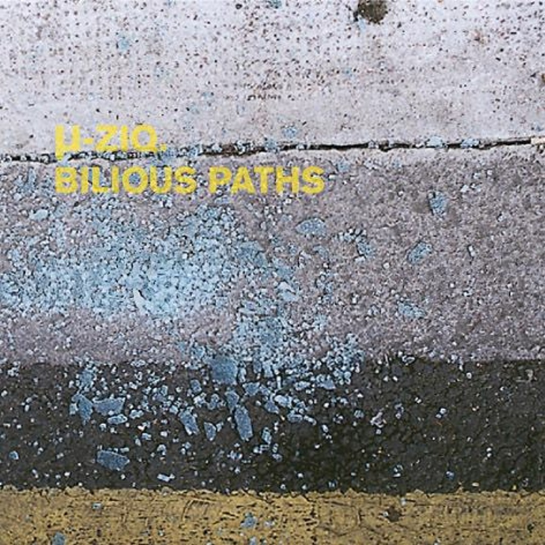 Stream Pangolin by µ-Ziq | Listen online for free on SoundCloud