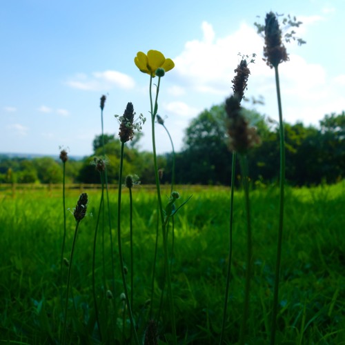 Stream Bewilderness - Spectre in the Smoke by jeff stonehouse | Listen ...
