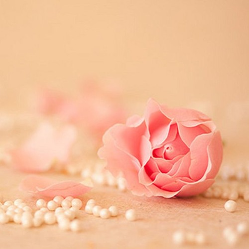 Stream Hatsune Miku - -Sweet Sweet Cendrillon Drug (Ver 2) Vocaloid by ...