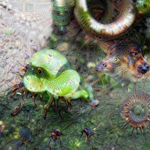 Stream La Tierna (Intro) by El Camo | Listen online for free on SoundCloud