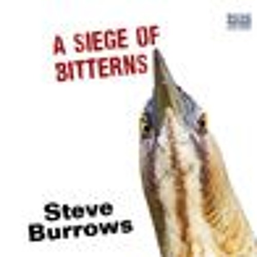Stream A Siege Of Bitterns By Steve Burrows from Ulverscroft | Listen ...