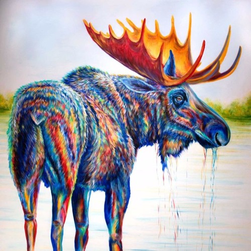 Stream Technicolour Magic Moose by Hot Cheddar | Listen online for free ...