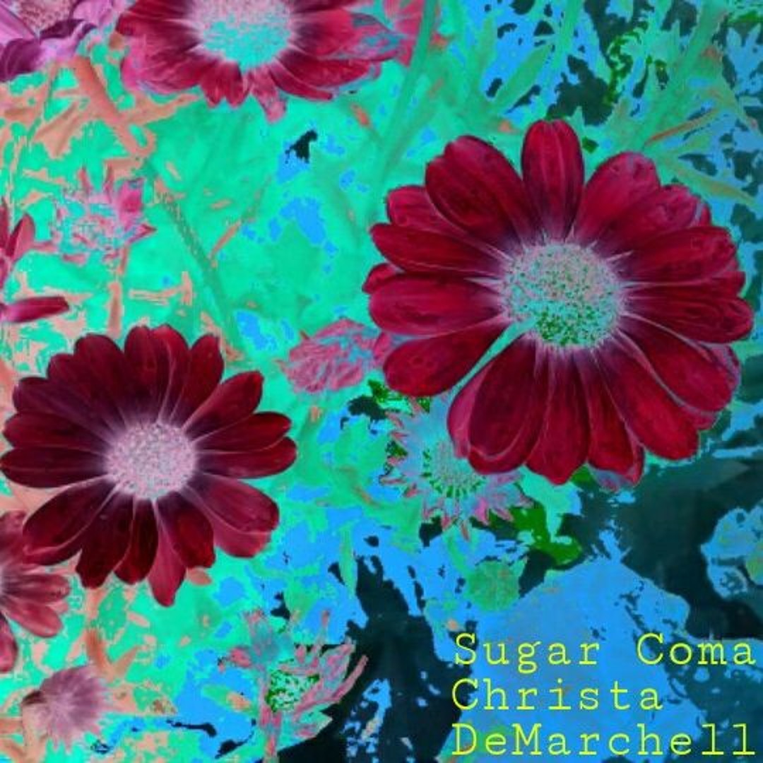 Stream Sugar Coma (Hole Cover) by Christa DeMarchell | Listen online ...