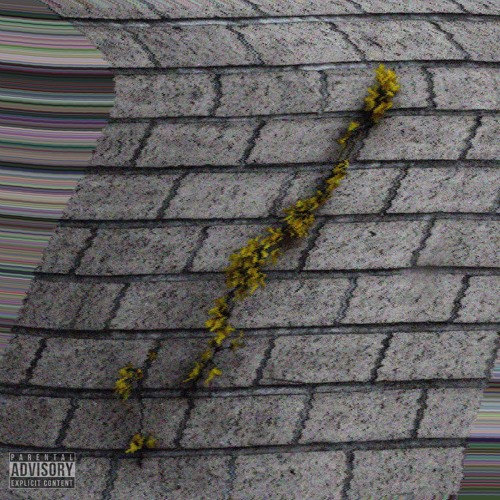 Stream $CRAWNY - No Better $aying (prod. John REVOLTa) [Video In ...