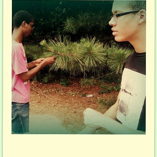 Listen to playlists featuring Tyler Major & Pyramid Vritra - Rosewood ...