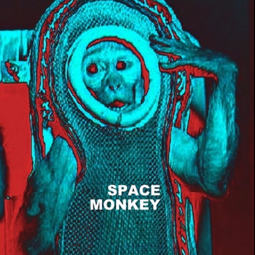 Stream SRB - Space Monkey (CLICK BUY FOR FREE DOWNLOAD!) by soundgasm ...