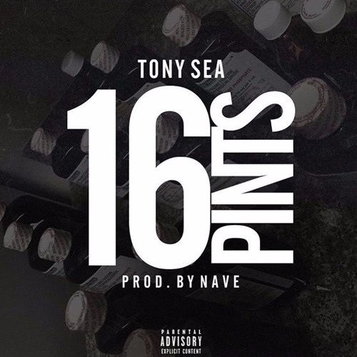 Stream 16 Pints by Tony Sea | Listen online for free on SoundCloud
