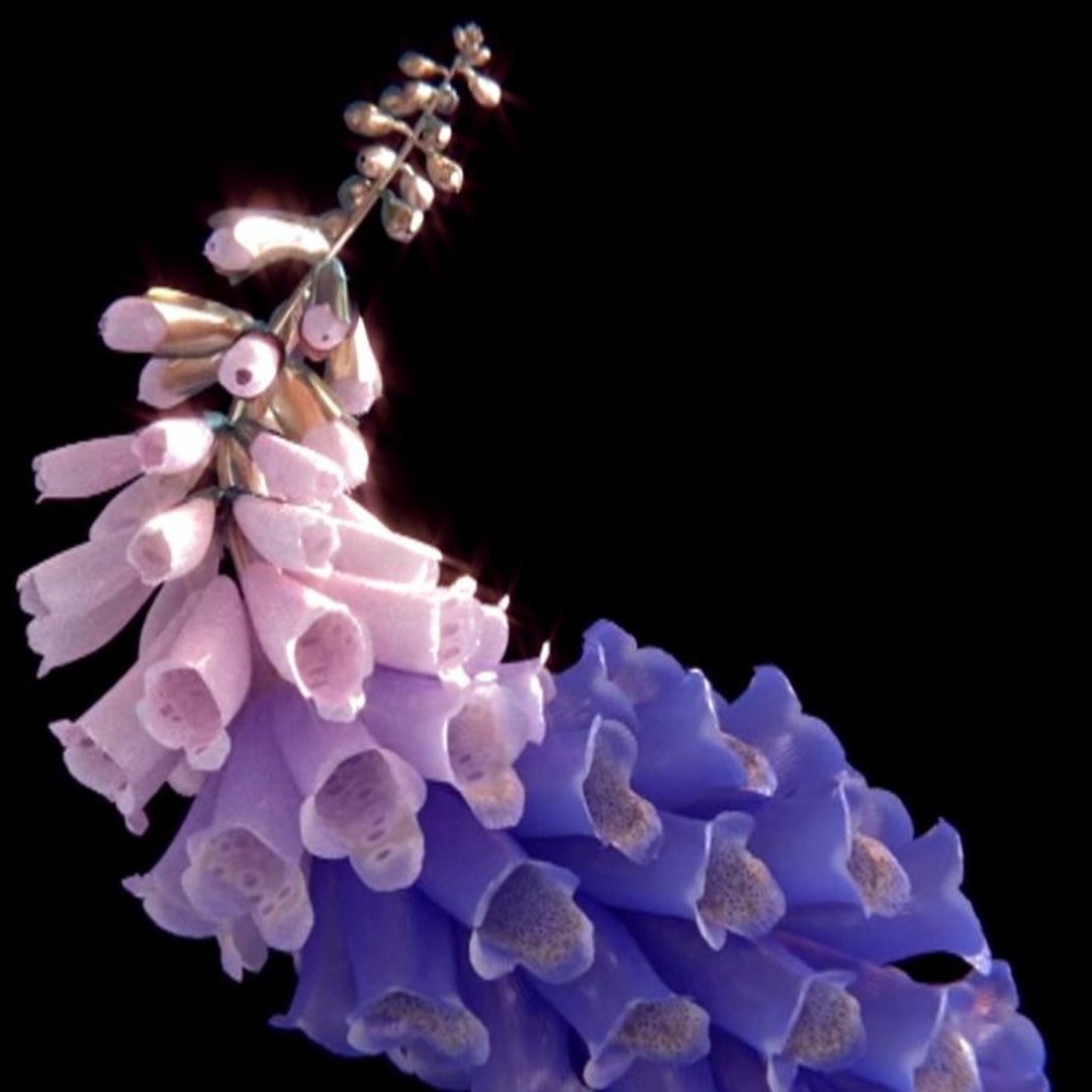Stream Flume - Take a Chance ft. Little Dragon (Short VERSION) by ...