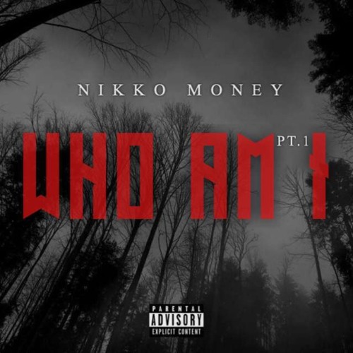 Stream NikkoMoney - Who Am I Pt 1 by Nikko Money | Listen online for ...