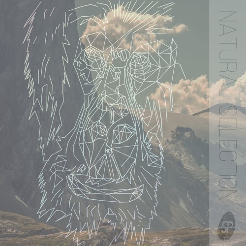 Stream Primate - Natural Selection by SmallPrint Recordings | Listen ...