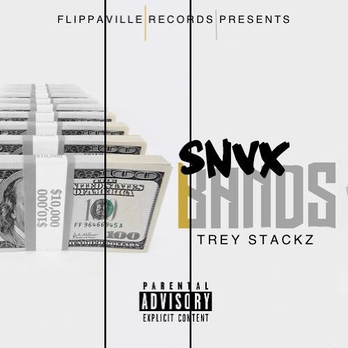 Stream Snax - BANDS ft Trey Stackz by FlippaVille Records LLC | Listen ...