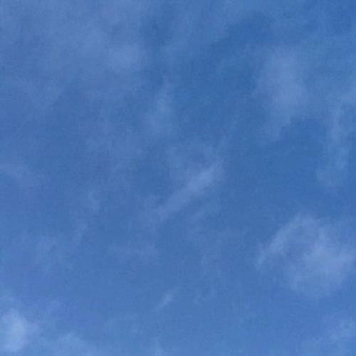 Simon Eng - Blue | Indie Shuffle