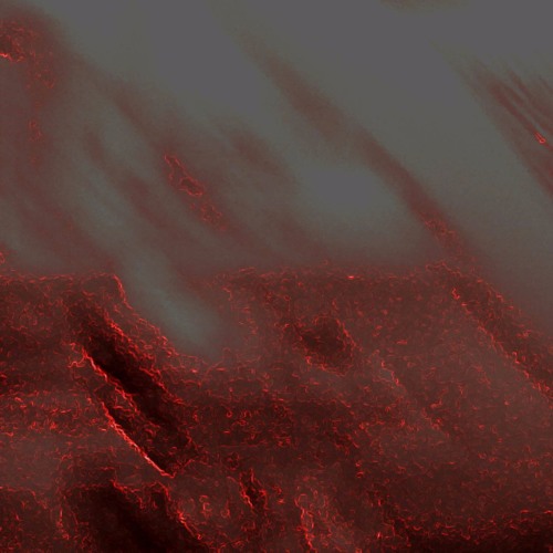 Stream The One I Love by Rem cover by Soundwave Graffiti by soundwave ...