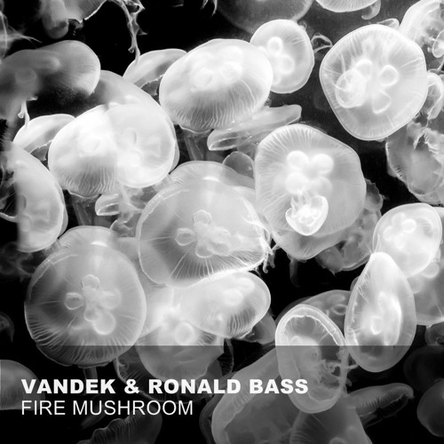 Stream Vandek & Ronald Bass - Fire Mushroom (Original Mix) by Vandek ...
