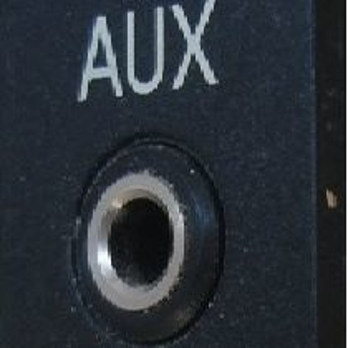 Stream Evening With A Polar Bear by Sam Delaune | Listen online for ...