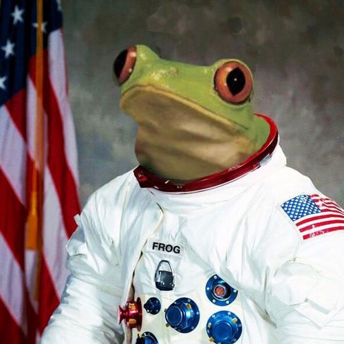 Stream Space Frog by Emeric Levardon | Listen online for free on SoundCloud