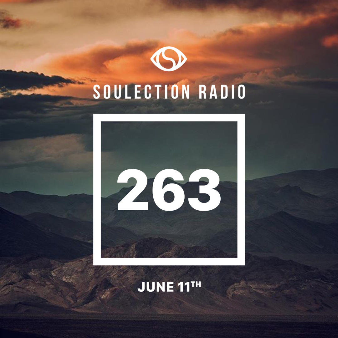 Stream Soulection Radio Show #263 by SOULECTION | Listen online for ...