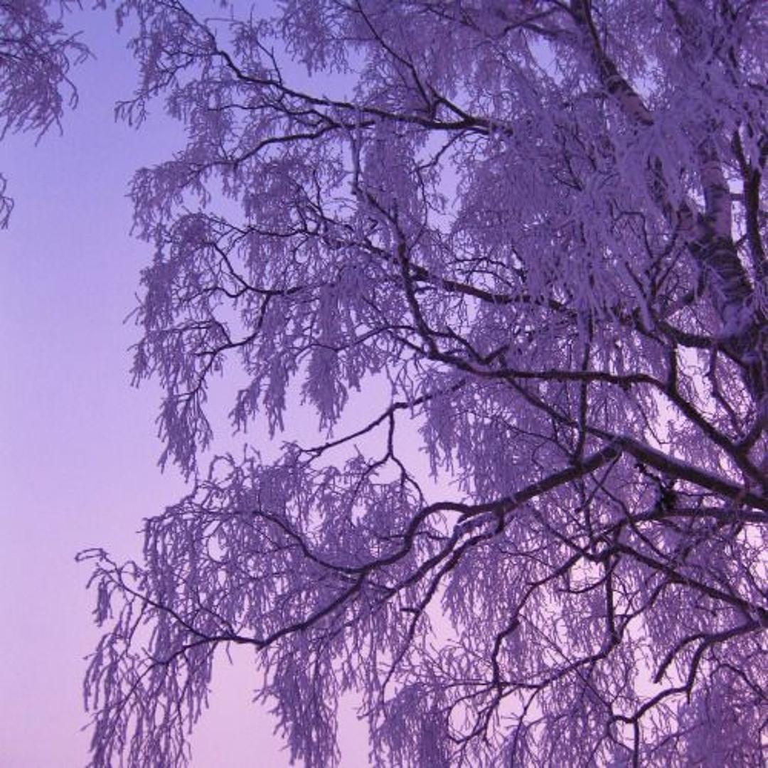 Stream forget it all (prod. killer mantis) by Madi Larson | Listen ...