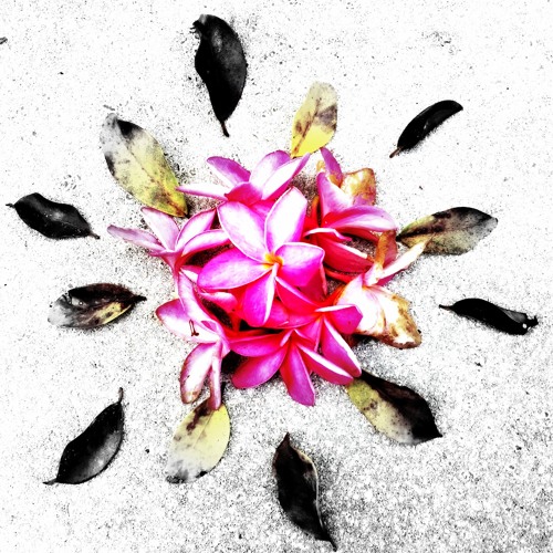 Stream Crushed Flowers on Pavement by Ivan John Kopas | Listen online ... Stream Crushed Flowers on Pavement by Ivan John Kopas | Listen online ...