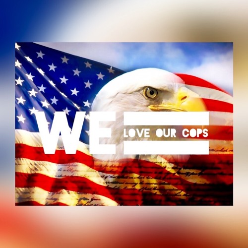 Stream We Love Our Cops by Baked Alaska | Listen online for free on ...
