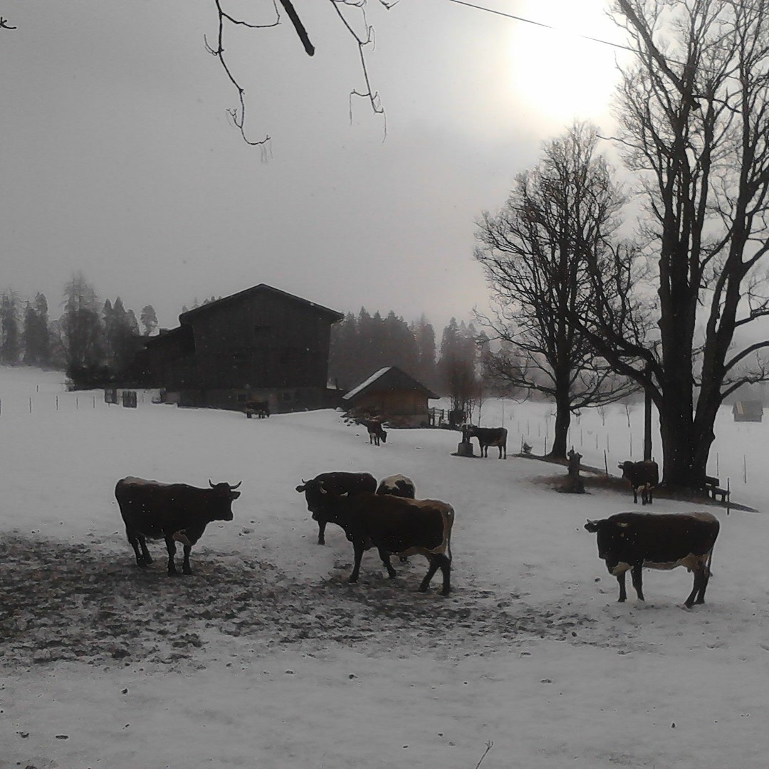 Stream Monk - Randy Newman - Its A Jungle Out There by Stefan Kappi | Listen online for free on ...