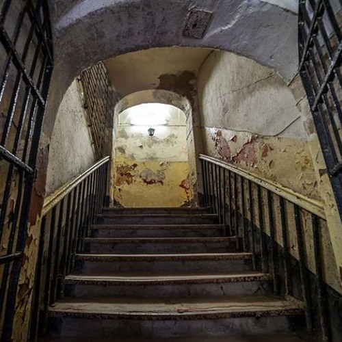 Stream Rot Op by Paranormal CatchTivity | Listen online for free on ...