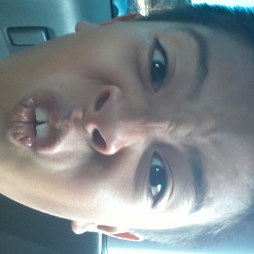 Stream Undertale-sans and papyrus song to the bone by Derek Alvarez ...