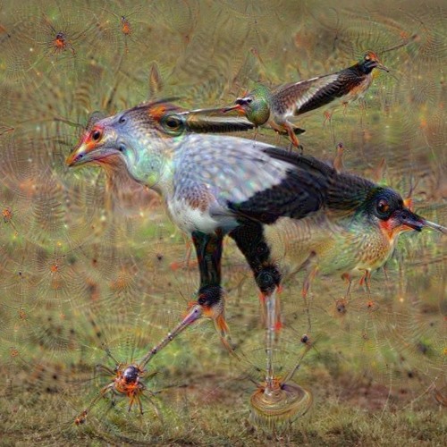 Stream Bird Stomp! by Ceiling Fan | Listen online for free on SoundCloud