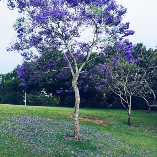 Stream Ejig Likeh - Eyob Ali by Tes | Listen online for free on SoundCloud