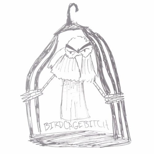 Stream Birdcage by Tyler Caudill | Listen online for free on SoundCloud