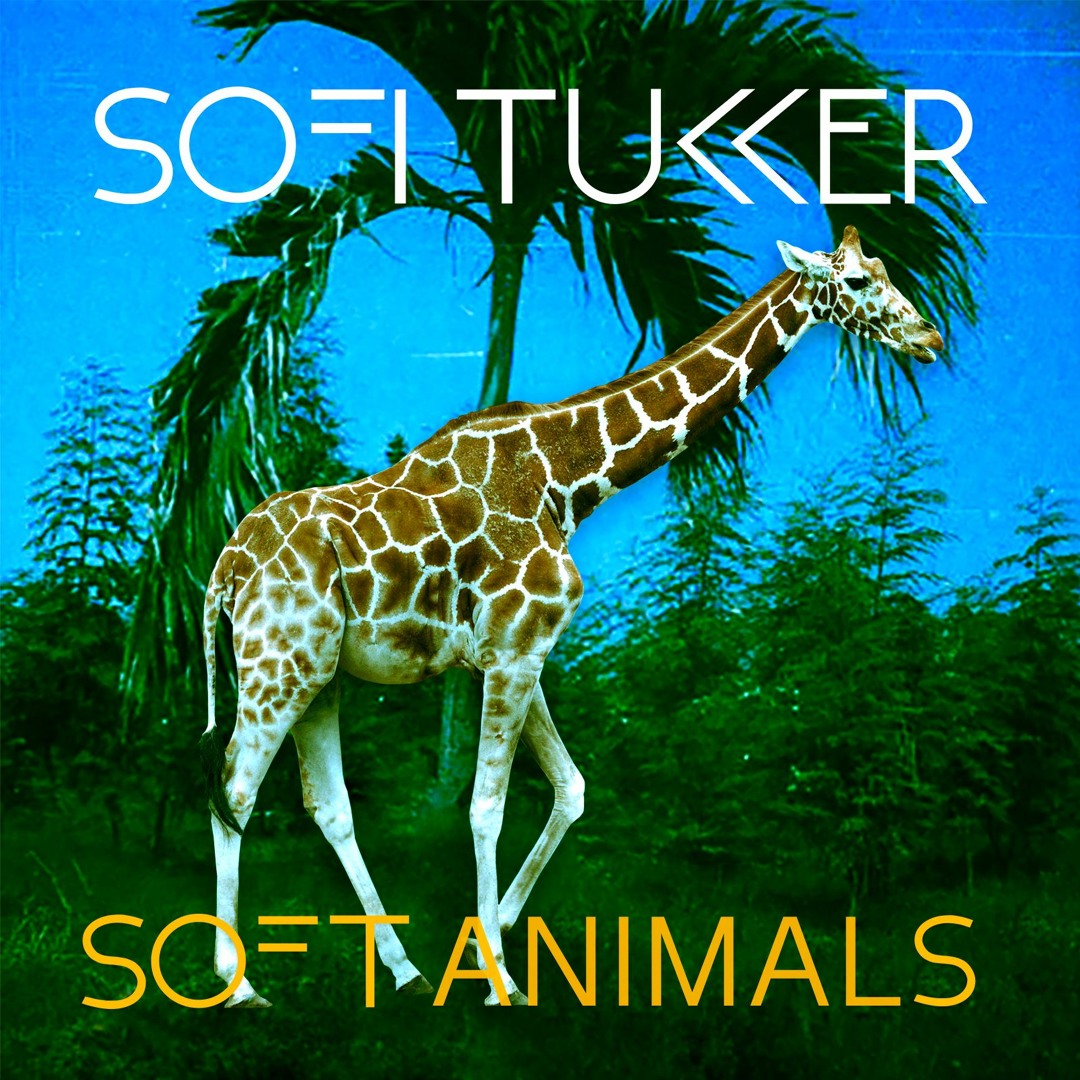Stream Awoo (feat. Betta Lemme) by SOFI TUKKER | Listen online for free on SoundCloud