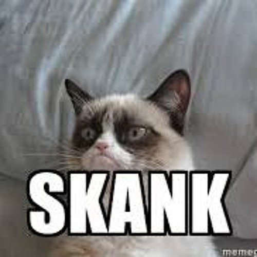 Stream Gaffer - Cat Skank by Gaffer | Listen online for free on SoundCloud