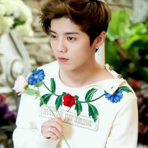 Luhan Exo Cute Wallpaper