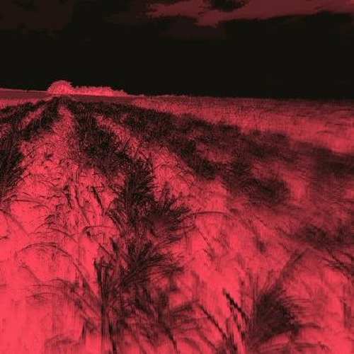 Stream Sweet Cornflakes Apple Pie by Mist calls... | Listen online for ...