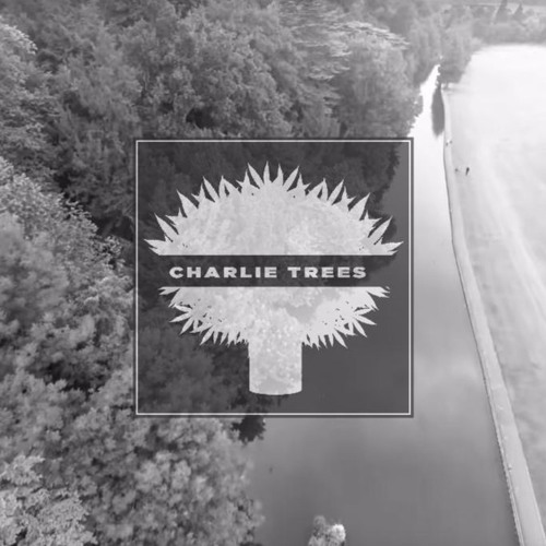 Stream Charlie Trees - Untitled by CREAM COLLECTIVE | Listen online for ...
