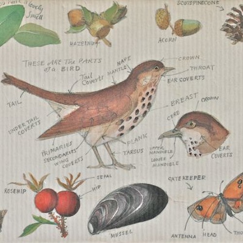 Stream episode Matthew Rice - Drawing Everyday by Royal Drawing School ...