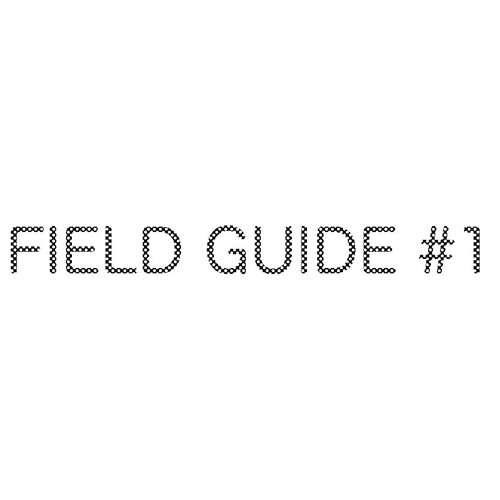 Stream Field Guide 1 WIP by Loud To Ghosts | Listen online for free on ...
