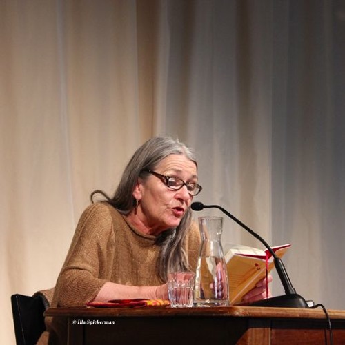 Stream Interview Mit Birgit Vanderbeke - Illa Spiekerman by litradio ...