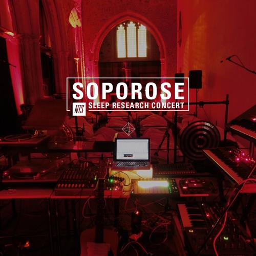 Stream Aboutface Live - Are Birds Singing In Their Sleep? (Live At ...