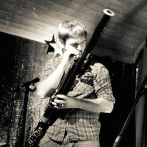 Stream Paul Michael Taylor (@bassoonpaul) | Listen to THE EVOLUTION OF ...