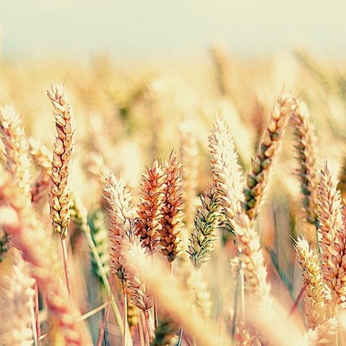 Remember Like Yesterday By Casino Nova Free Listening On Soundcloud