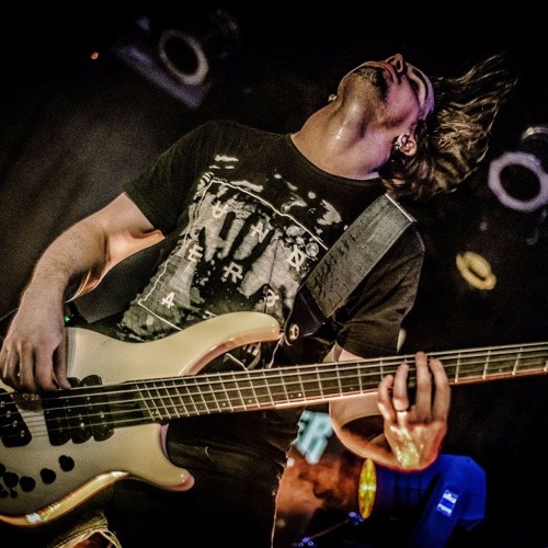 Stream Matthew the Bass Player | Listen to Dingwall FDV Pickup Samples ...