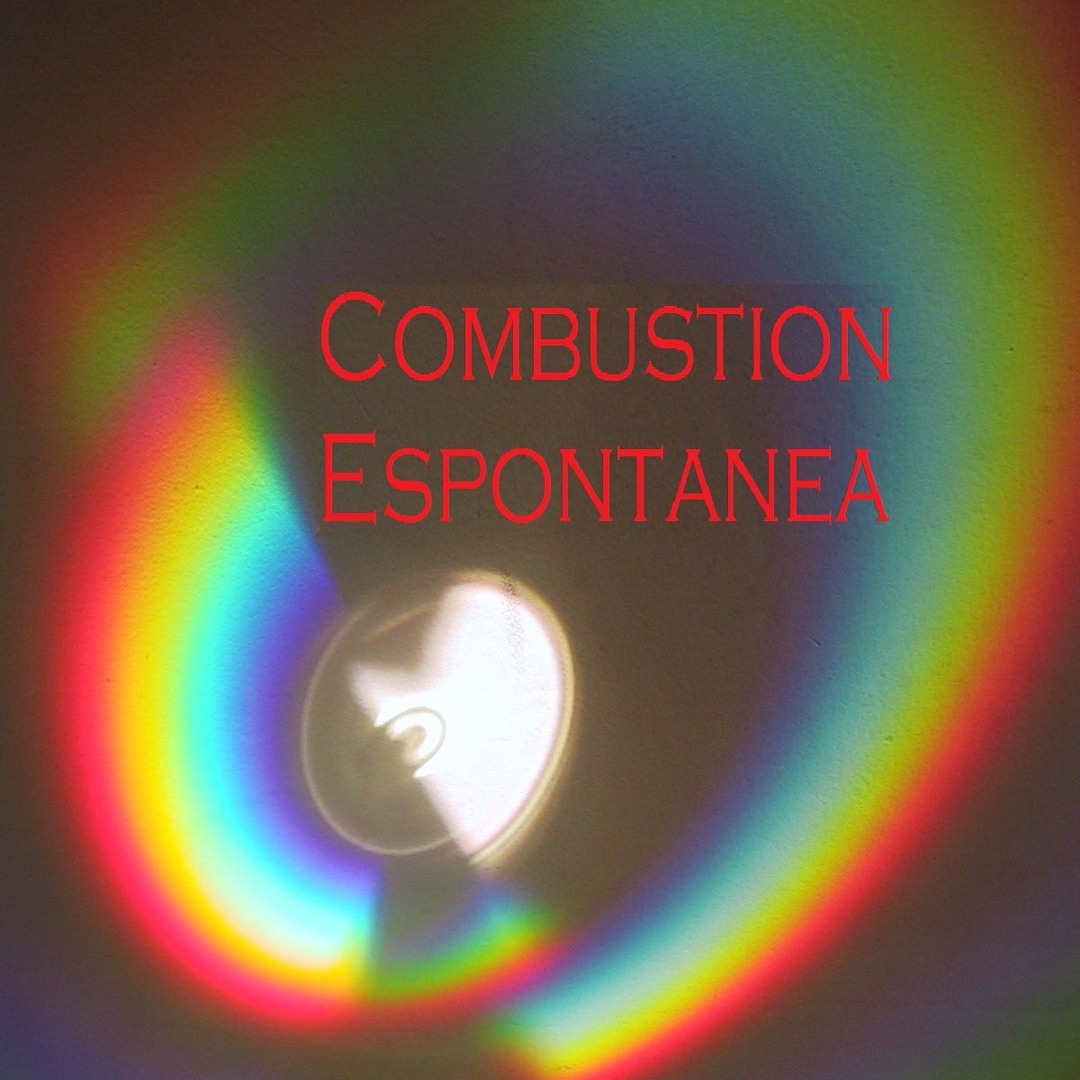 Stream Minga - Combustion Espontanea - La Hamburgueseria.wmv by ...