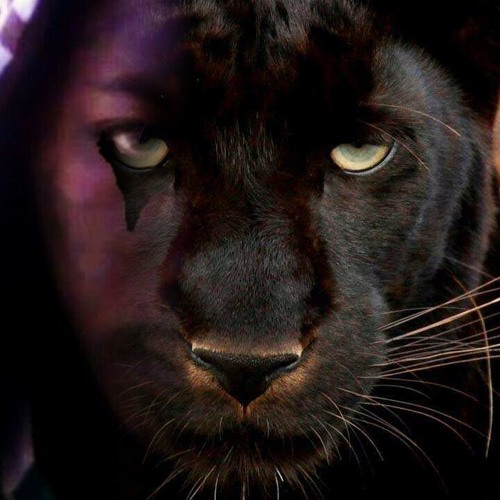 Stream DJ SAMMY RANKING - THE BIG BANG MIXTAPE by Sammy Ranking Obiero Jr. | Listen online for ...