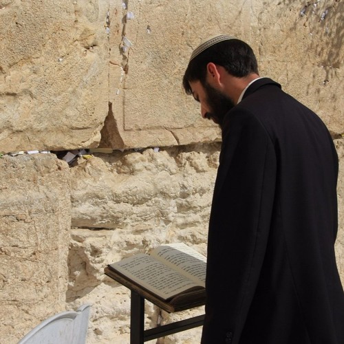 Stream The Tovia Singer Show - Is Israel the 51st State? by Israel News ...