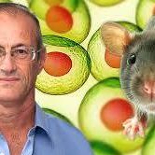 Stream Pippa Jones Interviews Dr Andre Menache on Animal Testing by ...