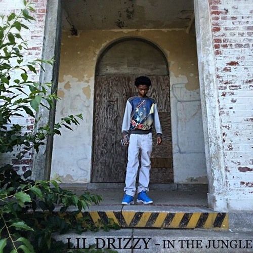 Stream Lil Drizzy - In The Jungle by 50 cal | Listen online for free on ...