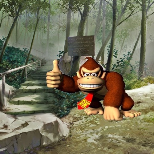 Stream Donkey Kong's Hiking Trail by Felicia The Maid | Listen online ...